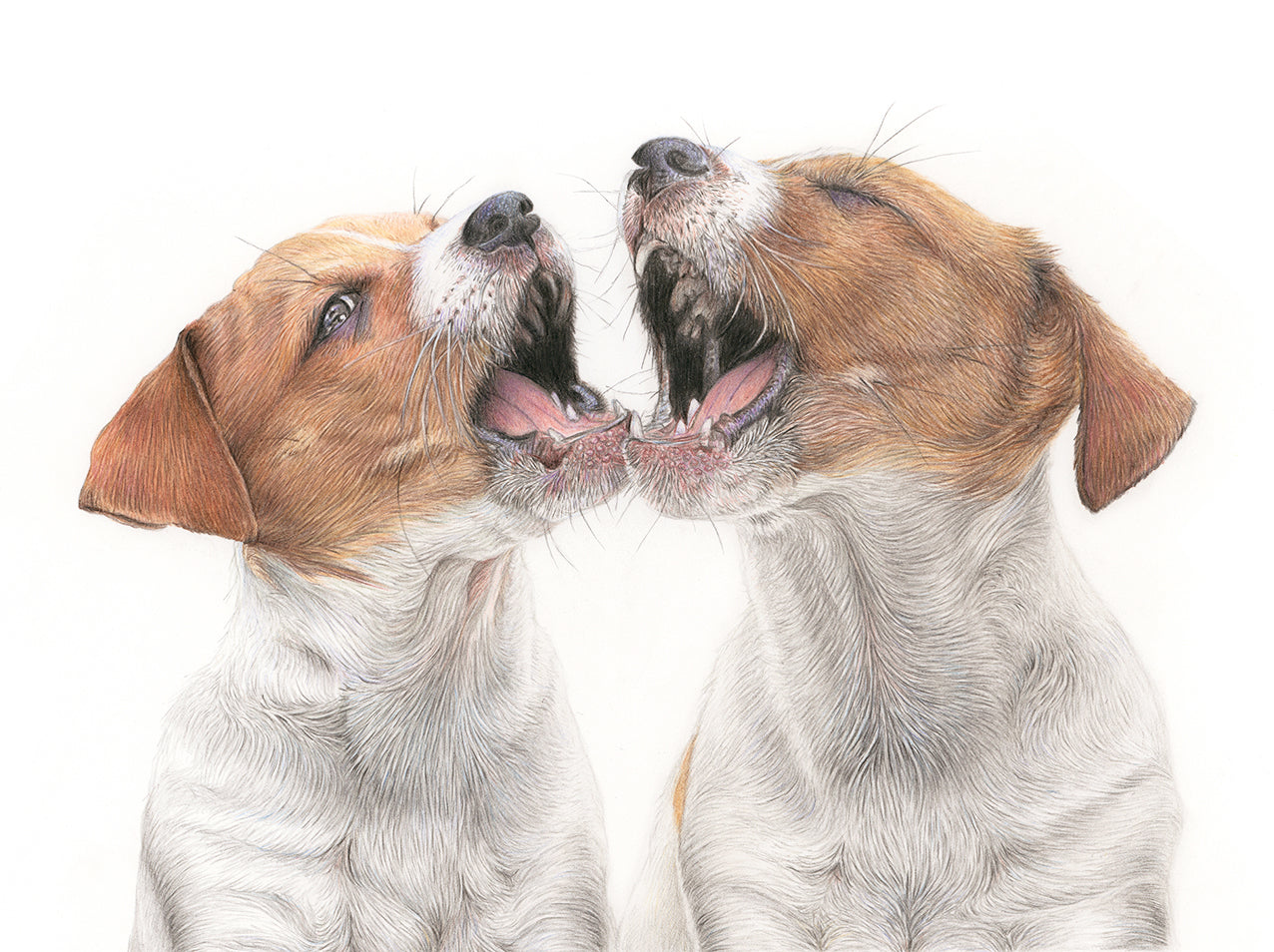 (Dogs) Jack Russell Duo – Lisa Wellwood Artist